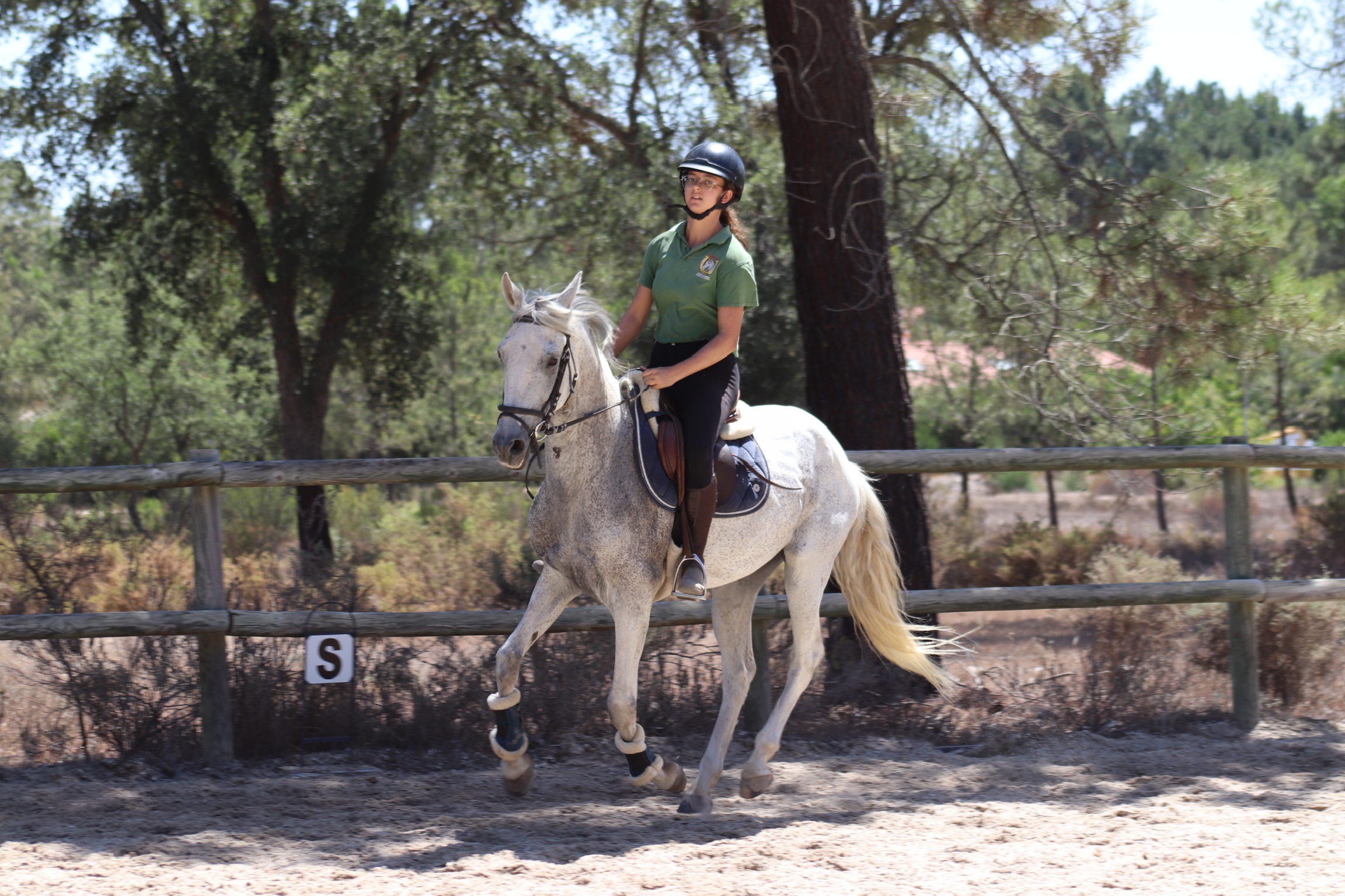 Giuliana Finochio - Portfolio